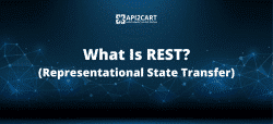 What Is REST (Representational State Transfer)? - API2Cart