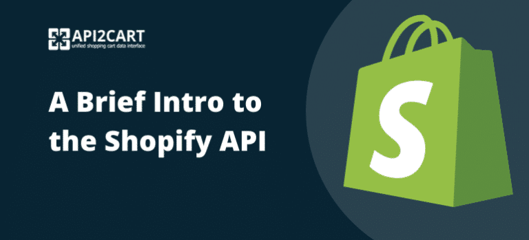 Shopify API: How to Easily Develop an Integration with It in 2025