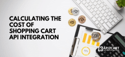 How Much Does API Integration with Shopping Carts Cost? - API2Cart