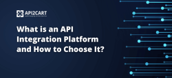 API Integration Platform: Top 5 Reasons to Use It in 2022 - API2Cart